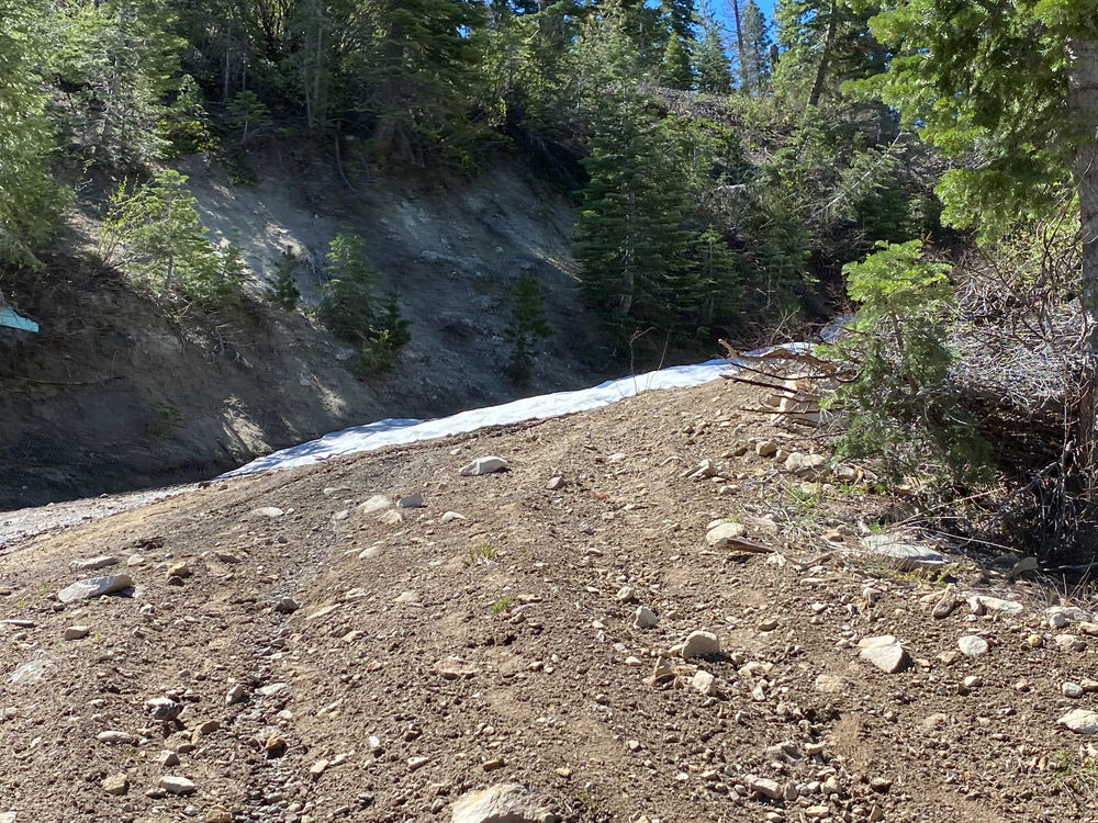 Kingvale 2020 | Placer County Film Office