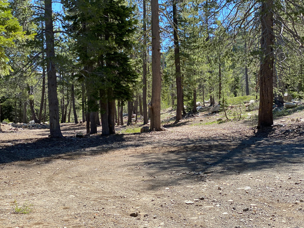 Kingvale 2020 | Placer County Film Office