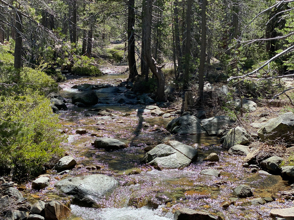 Kingvale 2020 | Placer County Film Office